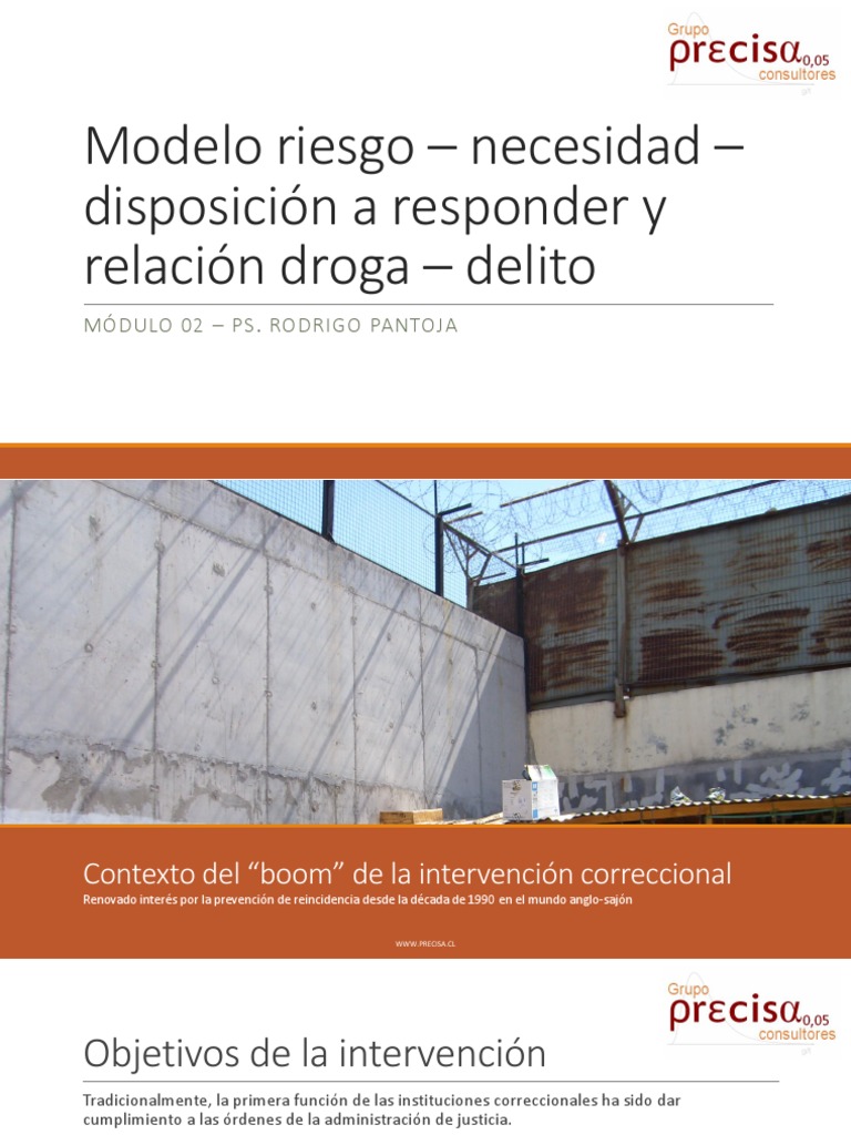 02 Modelo RNR y Necesidades Criminogenas | PDF | Delito | Drogas