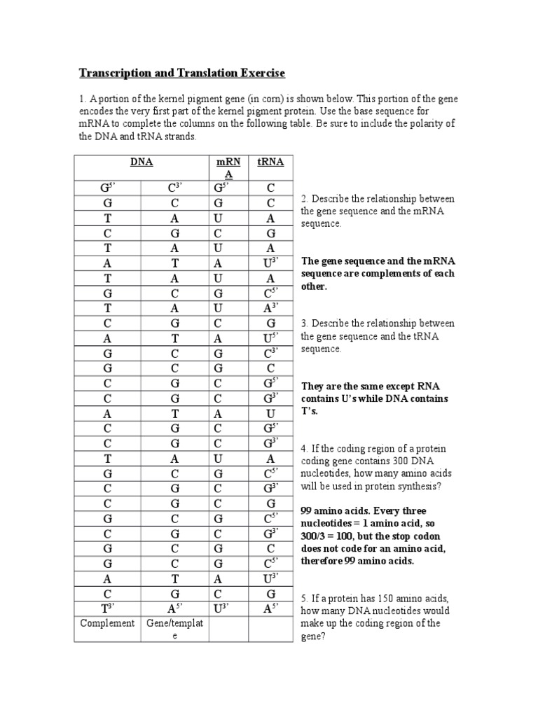 Transcription and Translation Exercise VER2 - Solution | PDF | Genetic ...