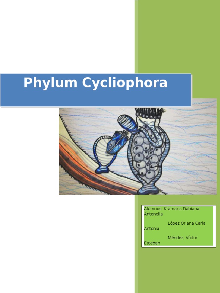 Phylum Cycliophora | PDF | Zoología | Biología