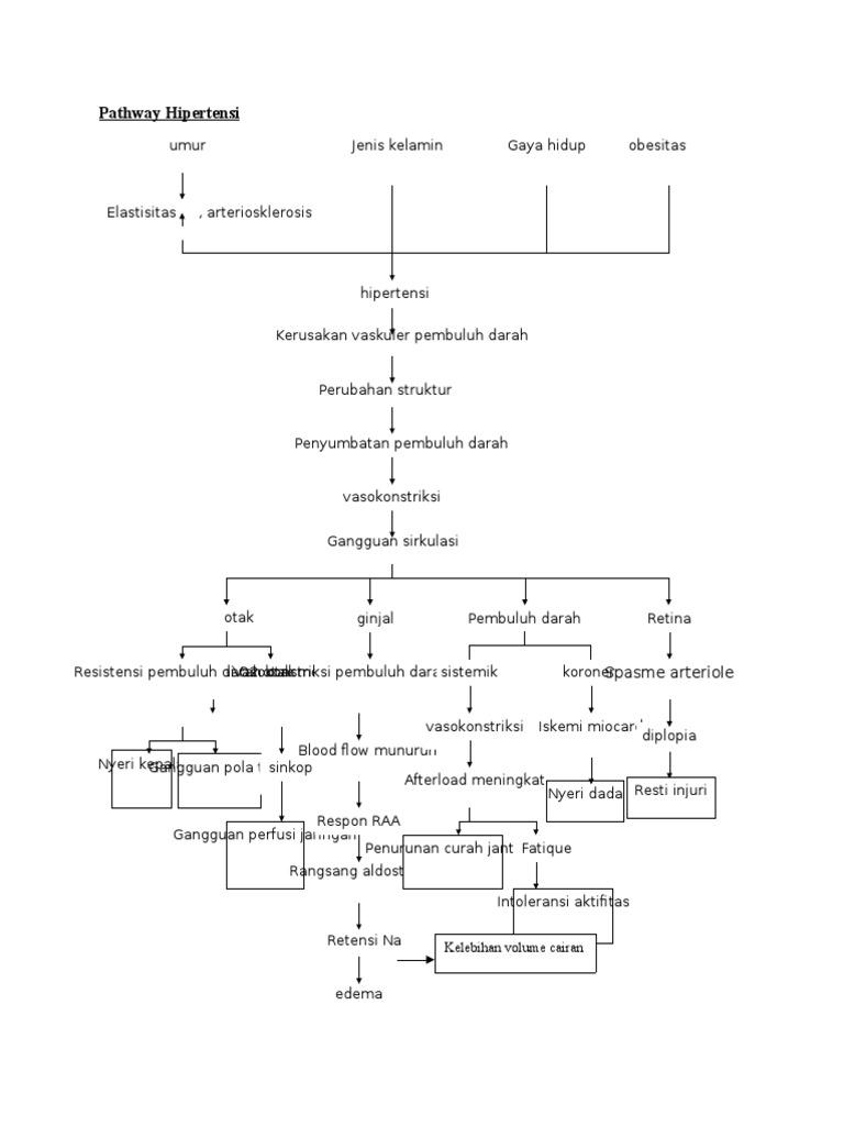 Pathway Hipertensi | PDF