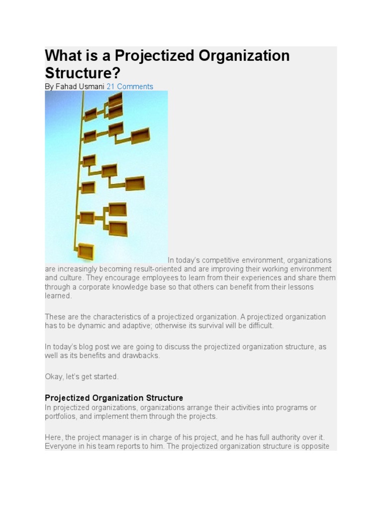 What Is A Projectized Organization Structure | Download Free PDF ...