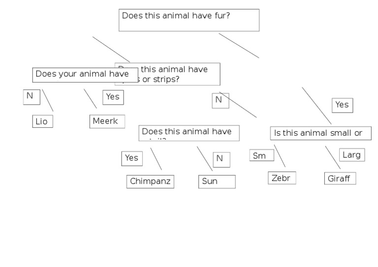 Dichotomous Key | PDF