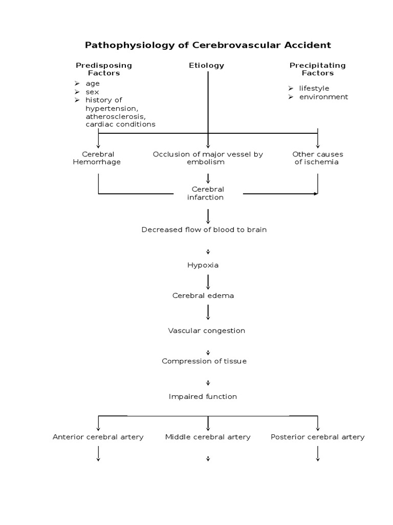 Pathophysiology of Cerebrovascular Accident | PDF | Stroke | Neurology