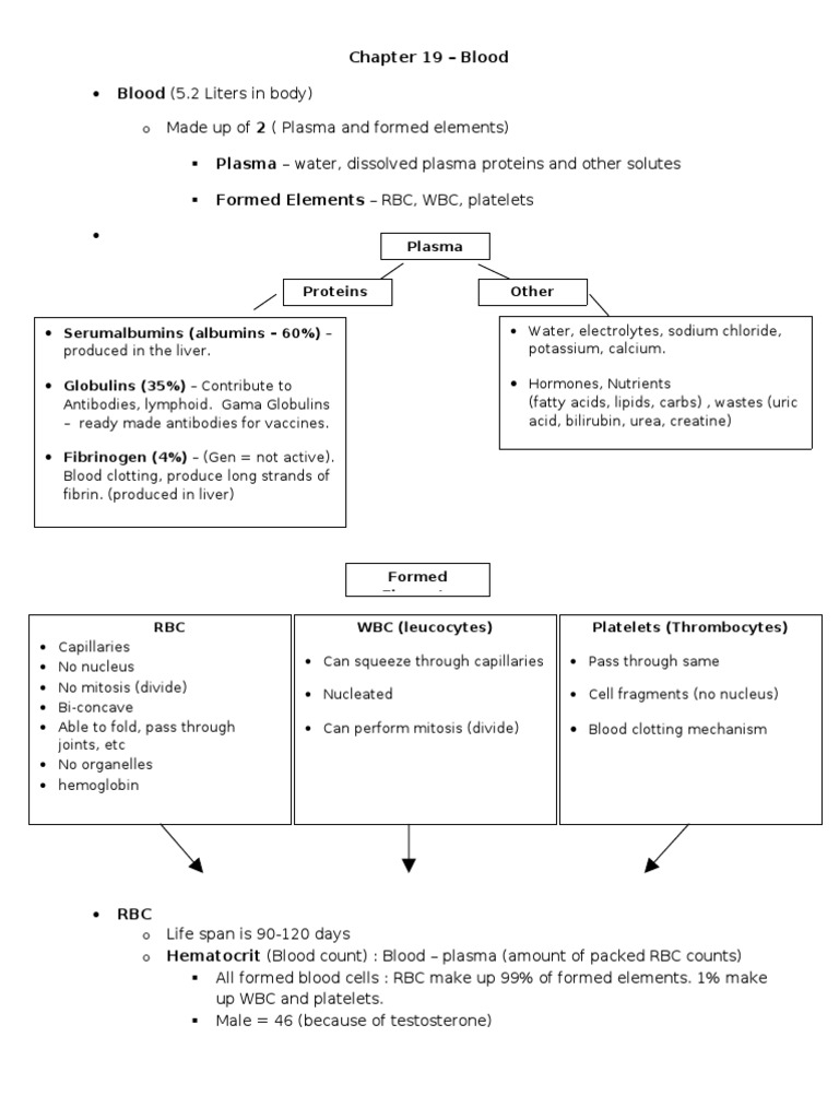 Chapter 19-Redo Notes | PDF