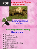 Purina Body Condition Score Diagram | PDF | Abdomen | Pelvis