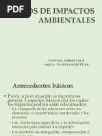Tema 5_ Matriz de Importancia de Impactos Ambientales (Miia ...