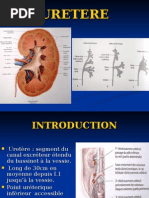 Anatomie de la Loge Rénale et Surrénales | PDF | Péritoine | Rein