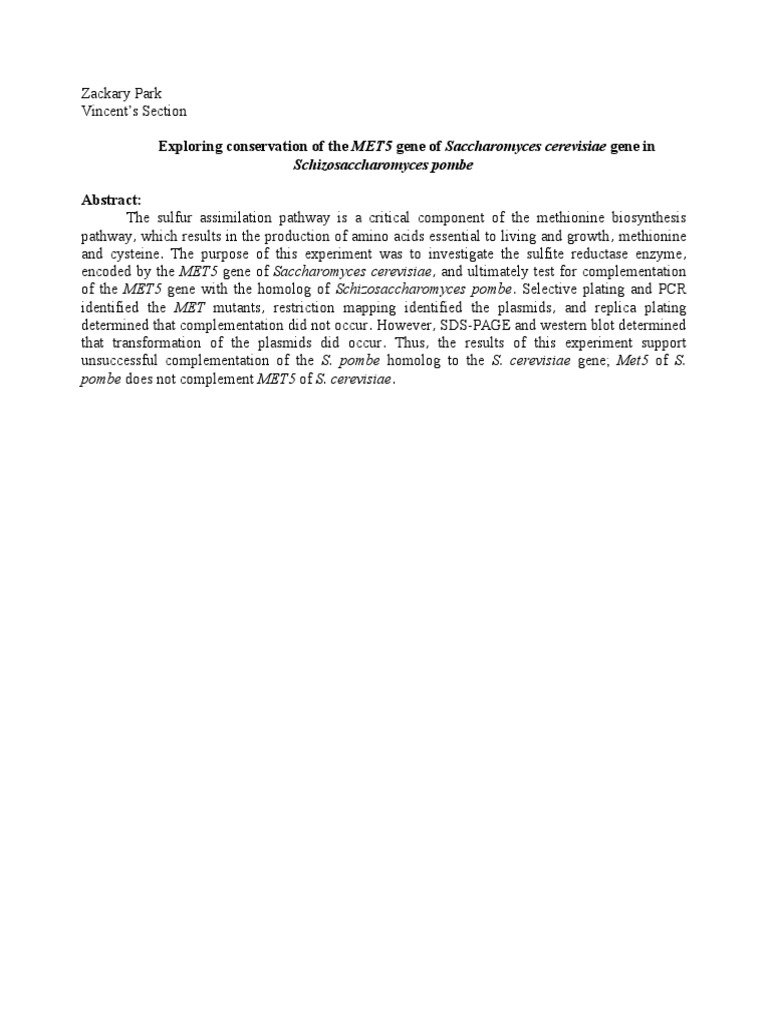 Exploring Conservation of The MET5 Gene of Saccharomyces Cerevisiae ...