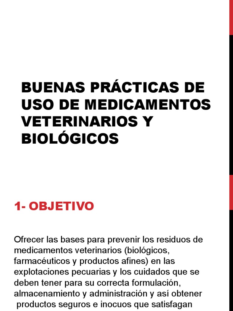 BPMV | PDF | Medicamentos con receta | Medicina