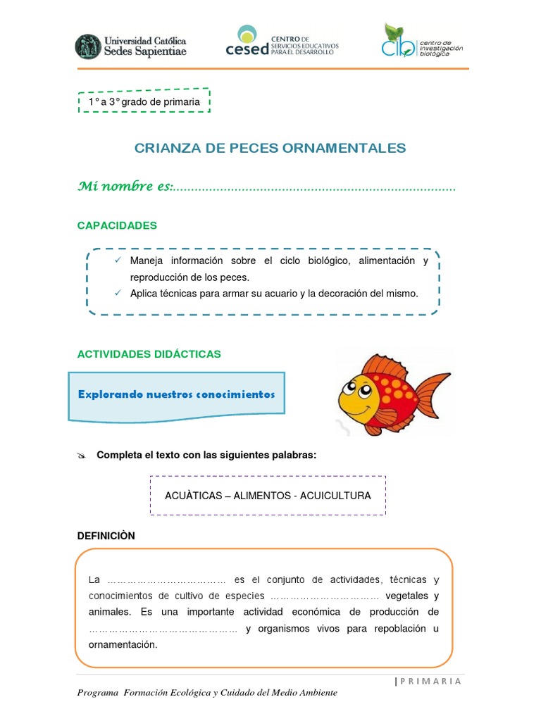 Ficha 1 A 3 Grado | PDF | Acuario | Pescado