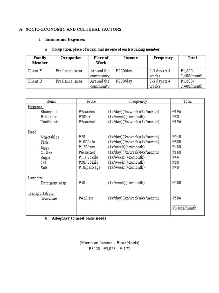 Income and Basic Needs | PDF