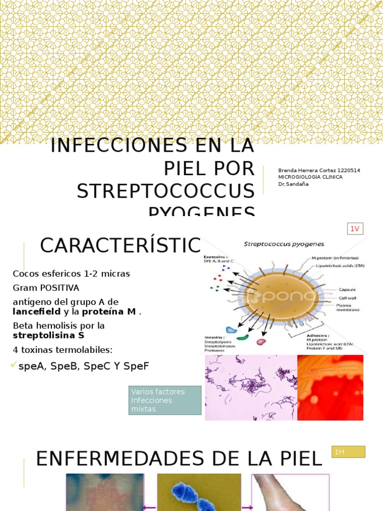 Infecciones en La Piel Por Streptococcus Pyogenes | PDF | Microbiología ...