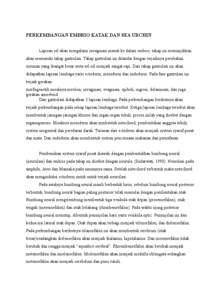 Perkembangan Embrio Katak Dan Sea Urchin | PDF