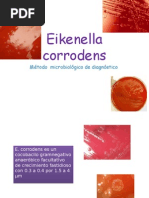 Uromune | PDF | Sistema inmune | Las bacterias