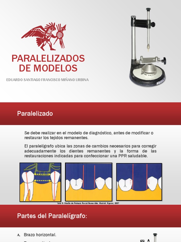 Paralelizado de Modelos en PPR | Descargar gratis PDF | Dentadura ...