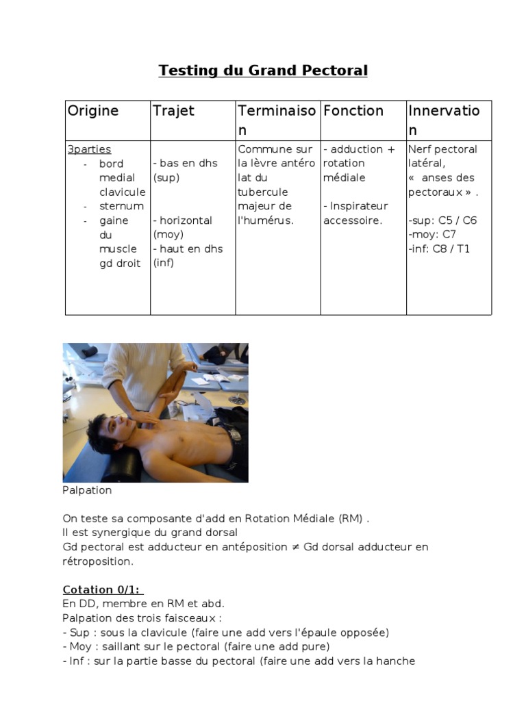Testing Grand Pectoral | PDF | Articulation (anatomie) | Membres (anatomie)