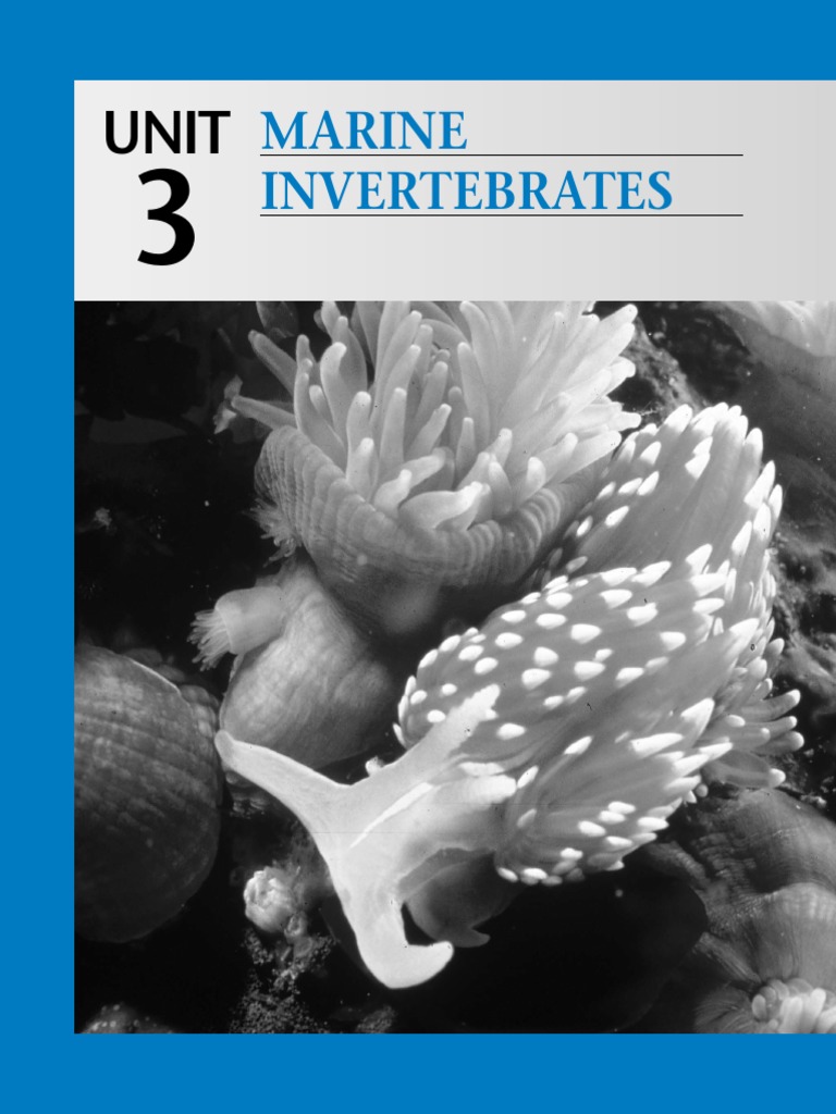 E Book (Marine Invertebrata) PDF | PDF | Coral | Coral Reef