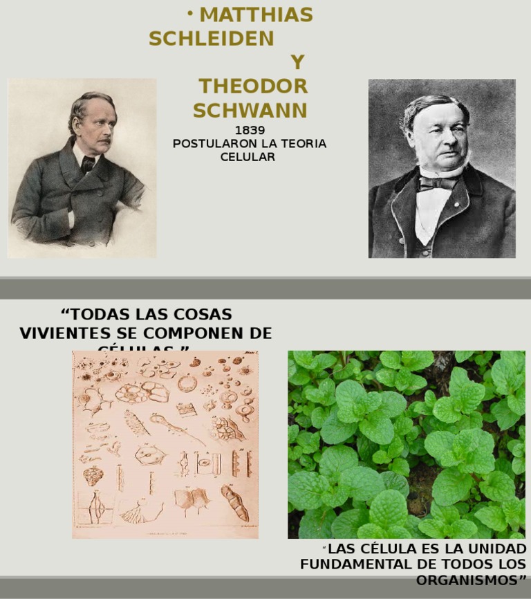 Matthias Schleiden y Theodor Schwann | PDF