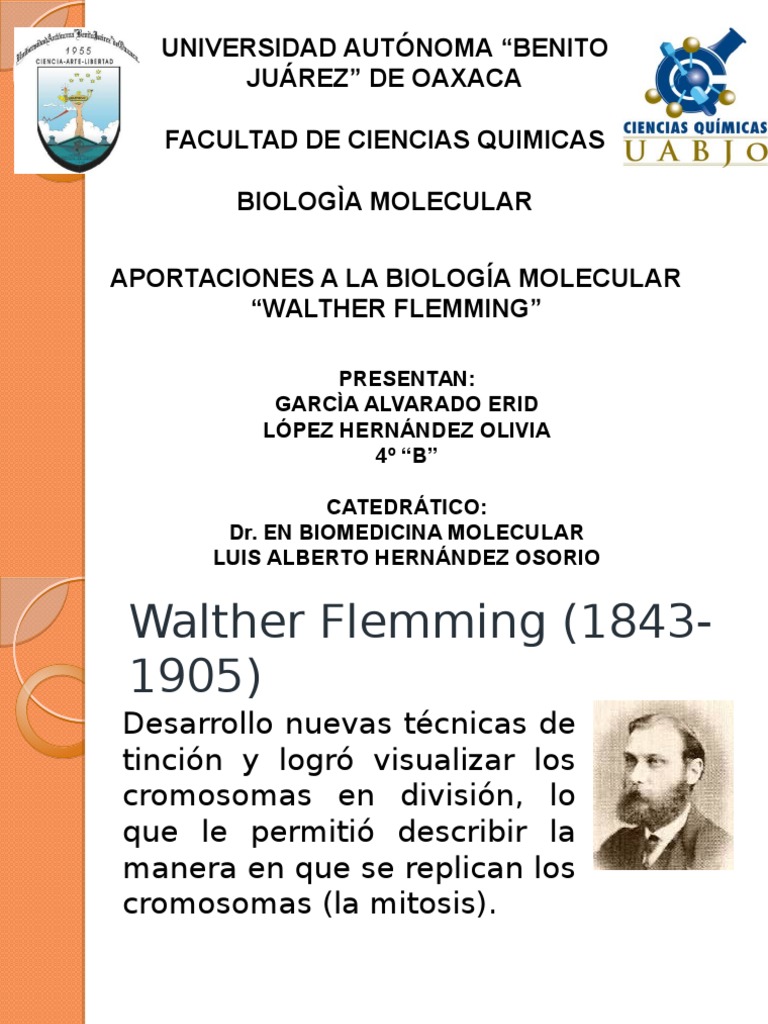 Walther Flemming | PDF | Ciencia y matemáticas