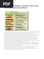 Tipos y características de las heces | PDF | Heces | Especialidades Medicas