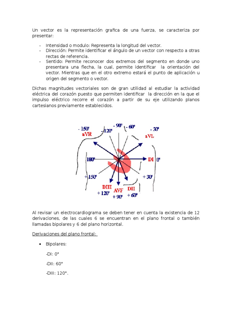 Cálculo del Eje Cardíaco en ECG | PDF | Vector Euclidiano ...