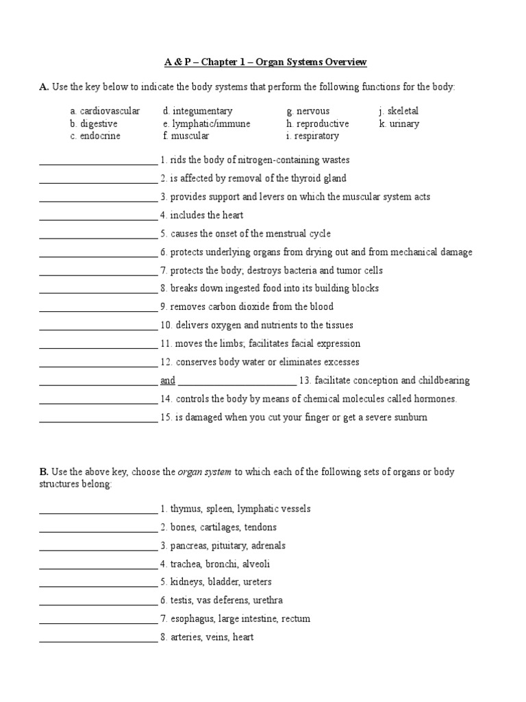 A-P - Ch01 - Organ Systems Overview Handout | PDF | Urinary System ...
