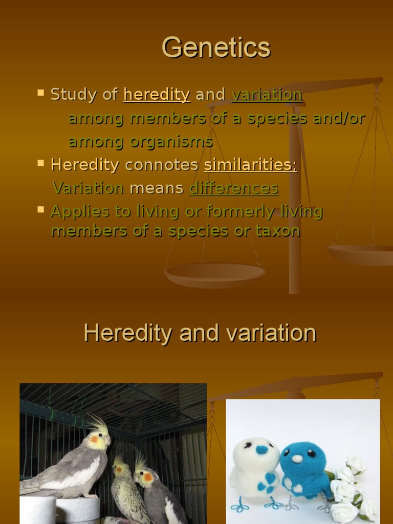 Handout No. 1 For Genetics Students | PDF | Plant Breeding | Genetics