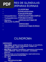 Glandulas Apocrinas | PDF | Piel | Epitelio