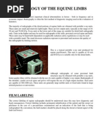 Triadan Tooth Numbering System | PDF