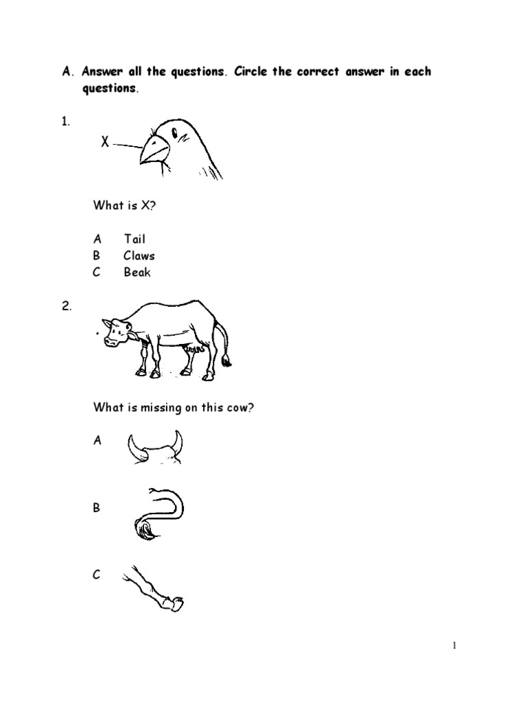 Sains Year 3 | PDF | Leaf | Electricity