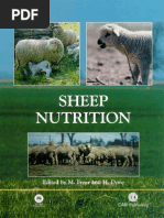 All About Sheep | PDF