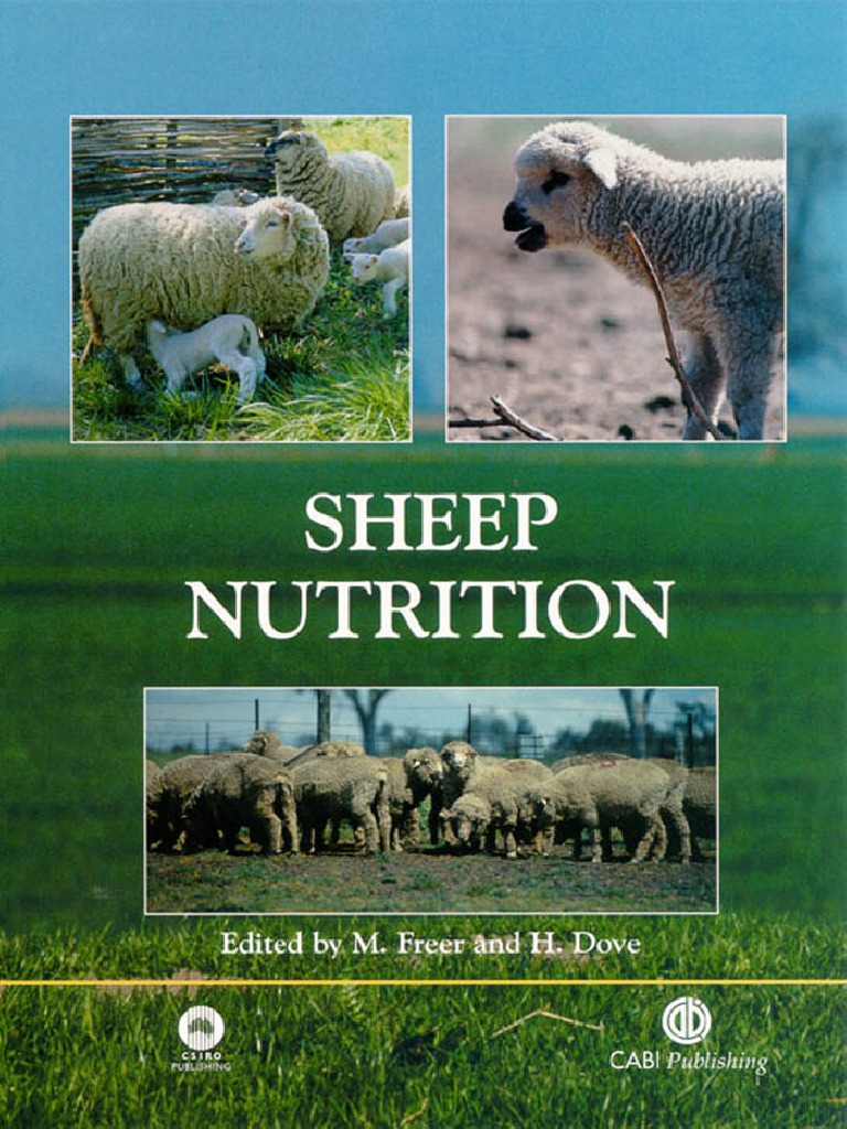 Sheep Nuitrition | PDF | Lignin | Statistics