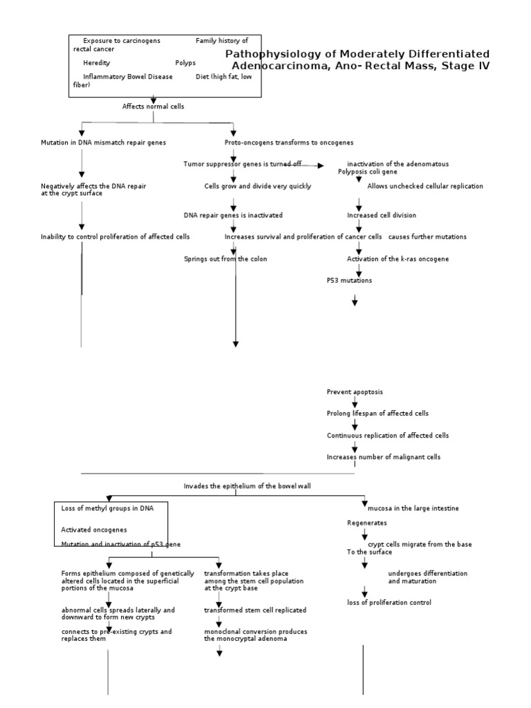 Pathophysiology of Rectal Adenocarcinoma | PDF | Colorectal Cancer | Cancer