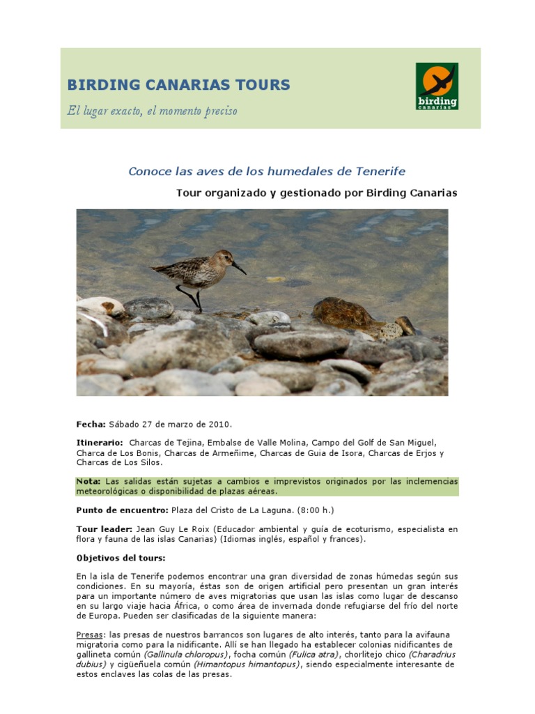 Programa Iniciación Aves Humedales Tenerife - Birding Canarias | PDF ...