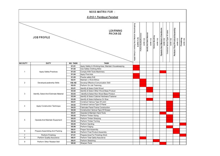 A-010-1Noss Matrix Level 1 | PDF