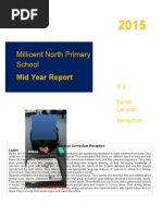 Report Comments (Early Years) | PDF | Shape | Writing