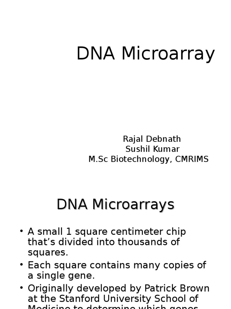 DNA Microarray | PDF | Dna Microarray | Macromolecules