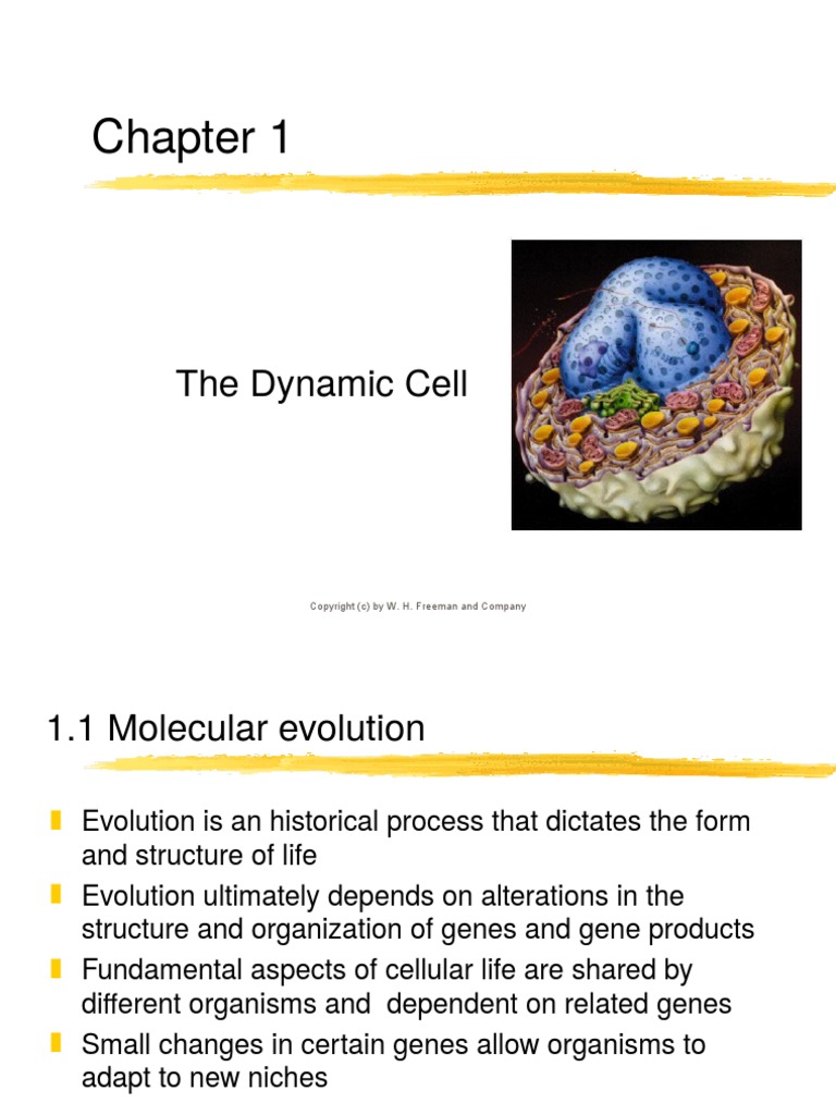 Chapter01 The Dynamic Cell | PDF | Cell (Biology) | Organisms