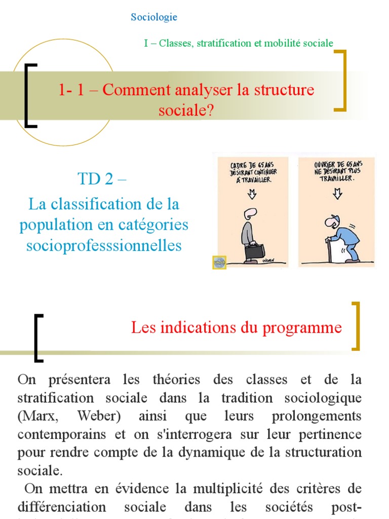 TD 2 La Classification de La Population | PDF | Sciences sociales