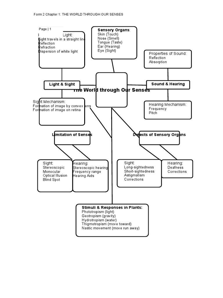 Form 2 Science Chapter 1 | PDF | Eye | Senses