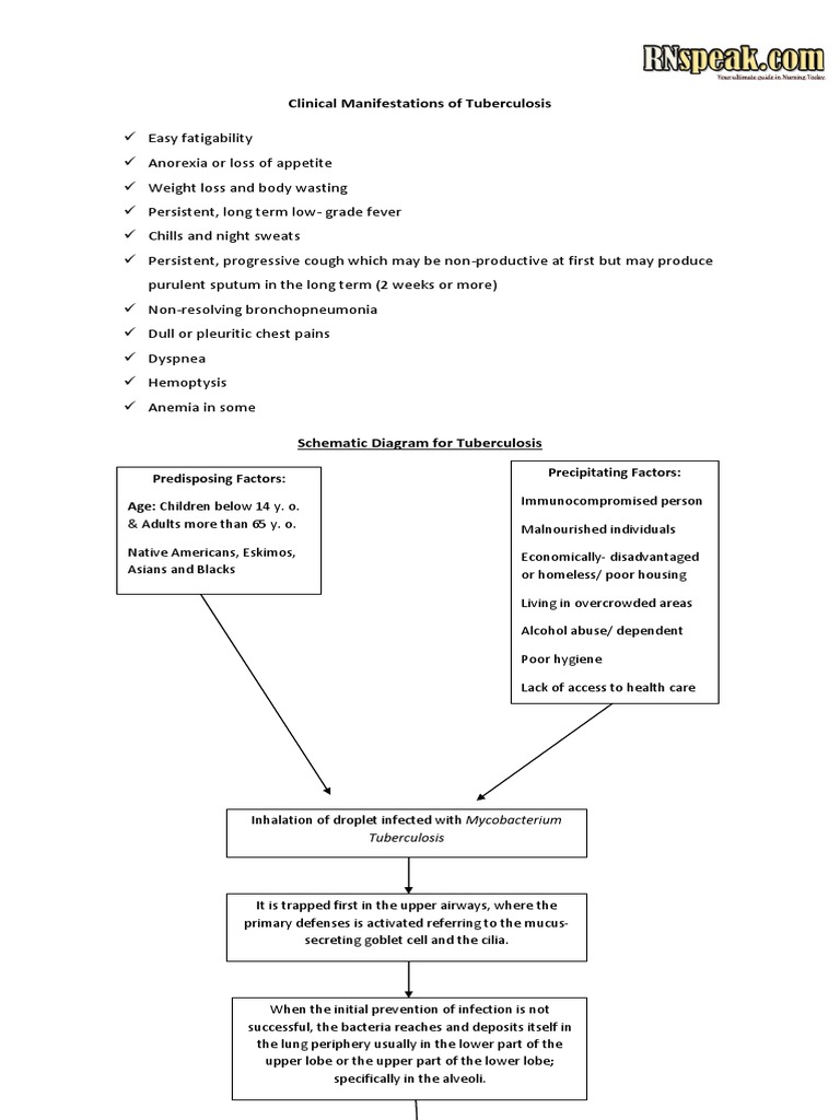 Tuberculosis - TB - Pathophysiology - Schematic Diagram | PDF ...