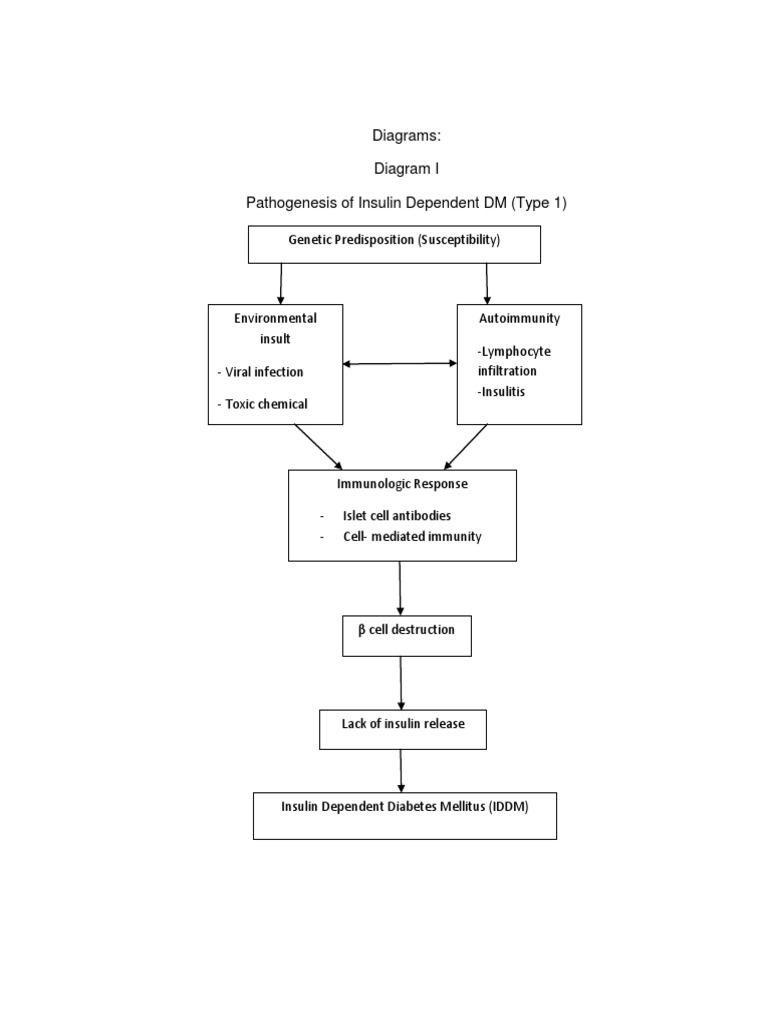 Diabetes Mellitus Type 1 Pathophysiology