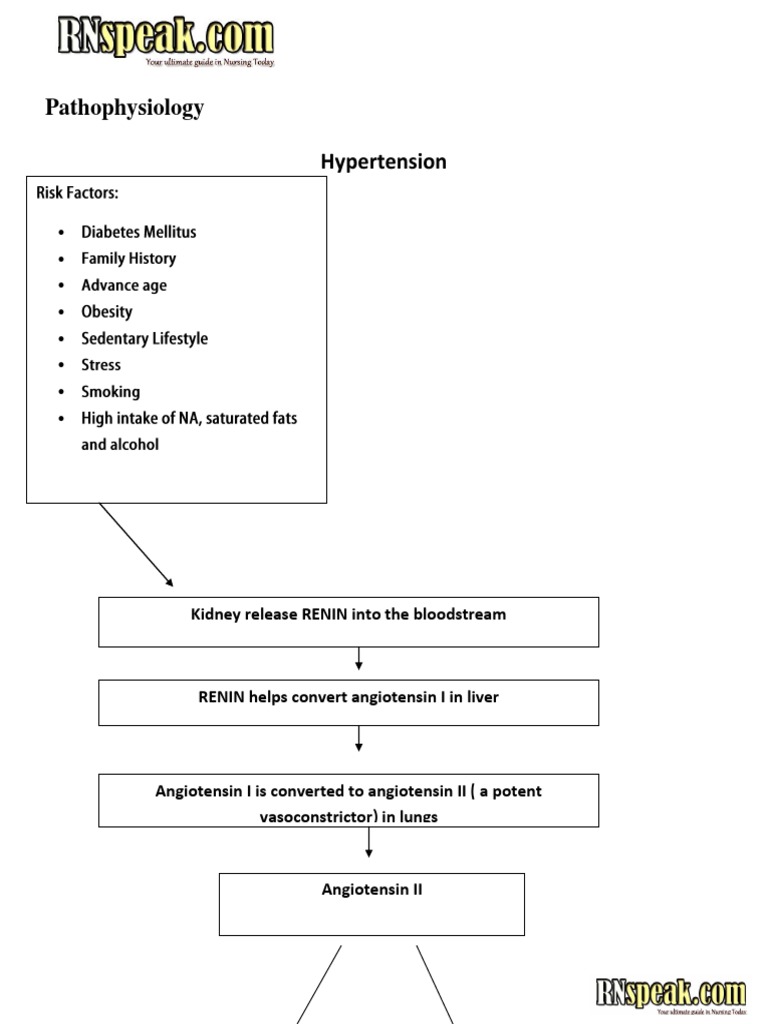 Pathophysiology Hypertension | PDF | Science & Mathematics