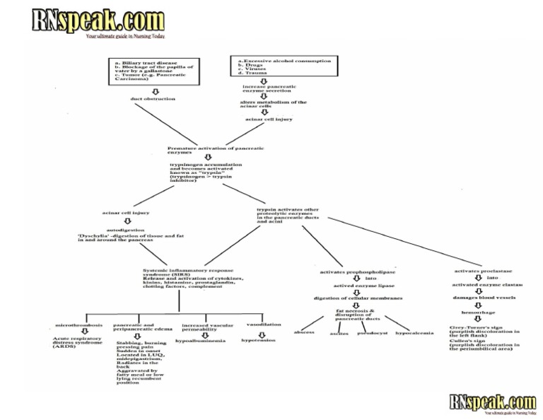 Pancreatitis Pathophysiology and Schematic Diagram | Wellness | Physiology