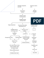 Pathway CHF | PDF