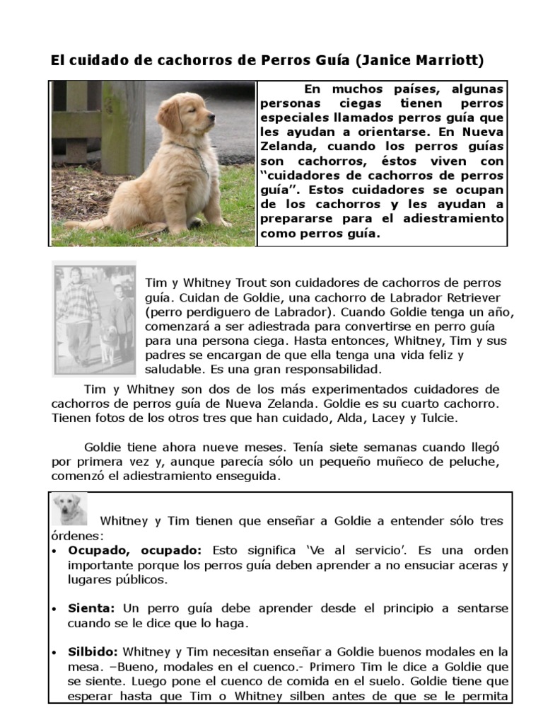 "El cuidado de cachorros de Perros Guía" 4 EP-Texto expositivo | PDF ...