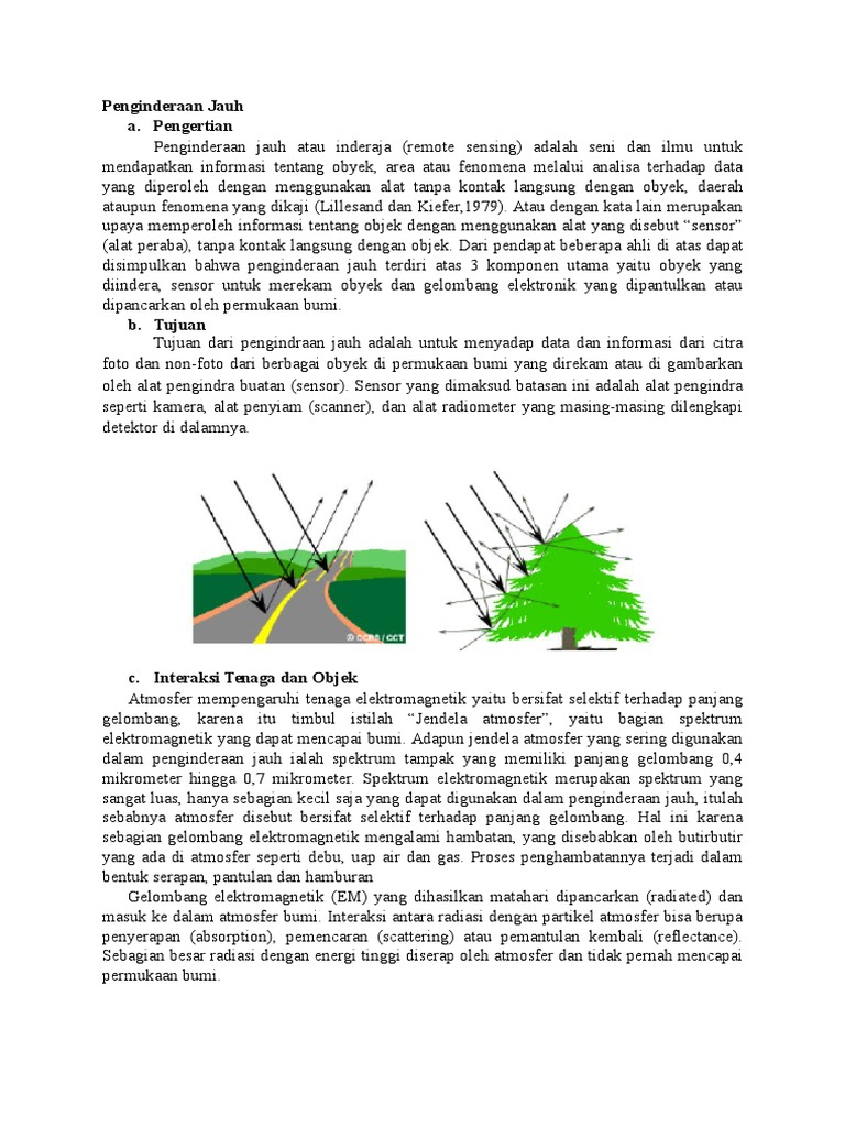 Penginderaan Jauh Atau Inderaja | PDF | Sains & Matematika