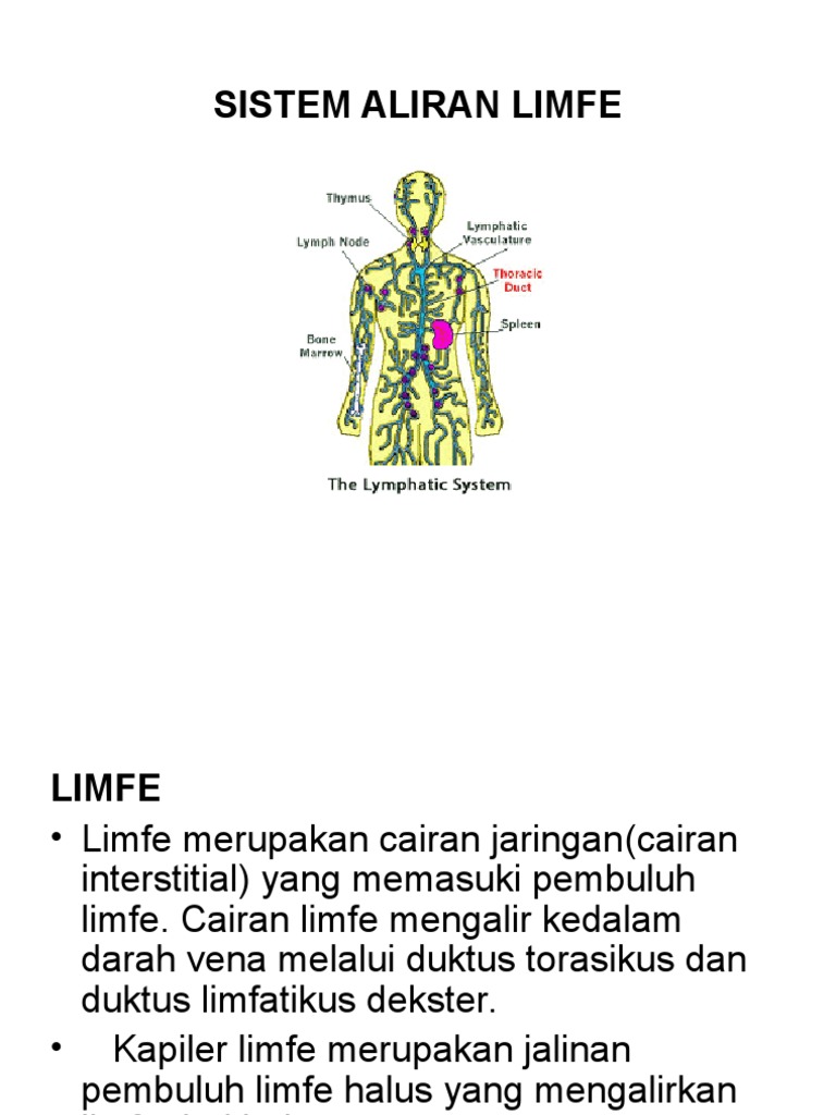 Sistem Limfatik | PDF