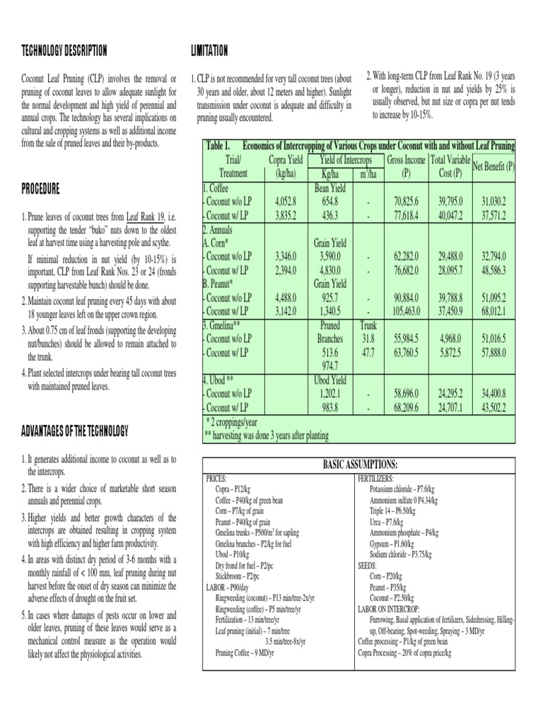 Pruning Coco | PDF | Pruning | Coconut