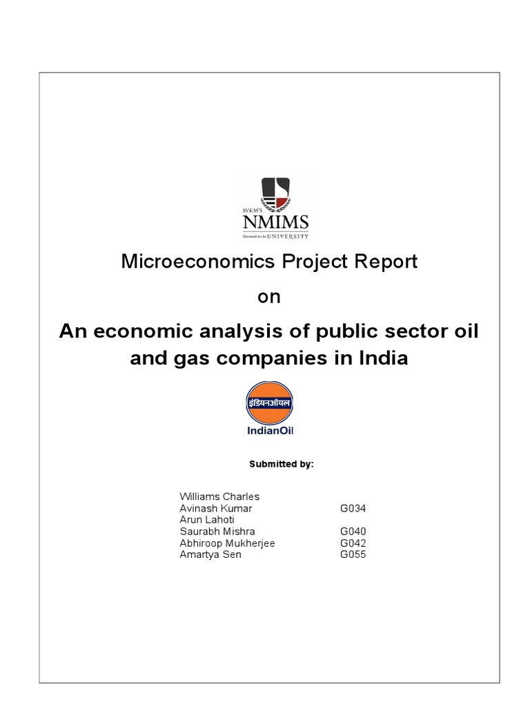 Micro Economics Report | PDF | Petroleum | Natural Gas